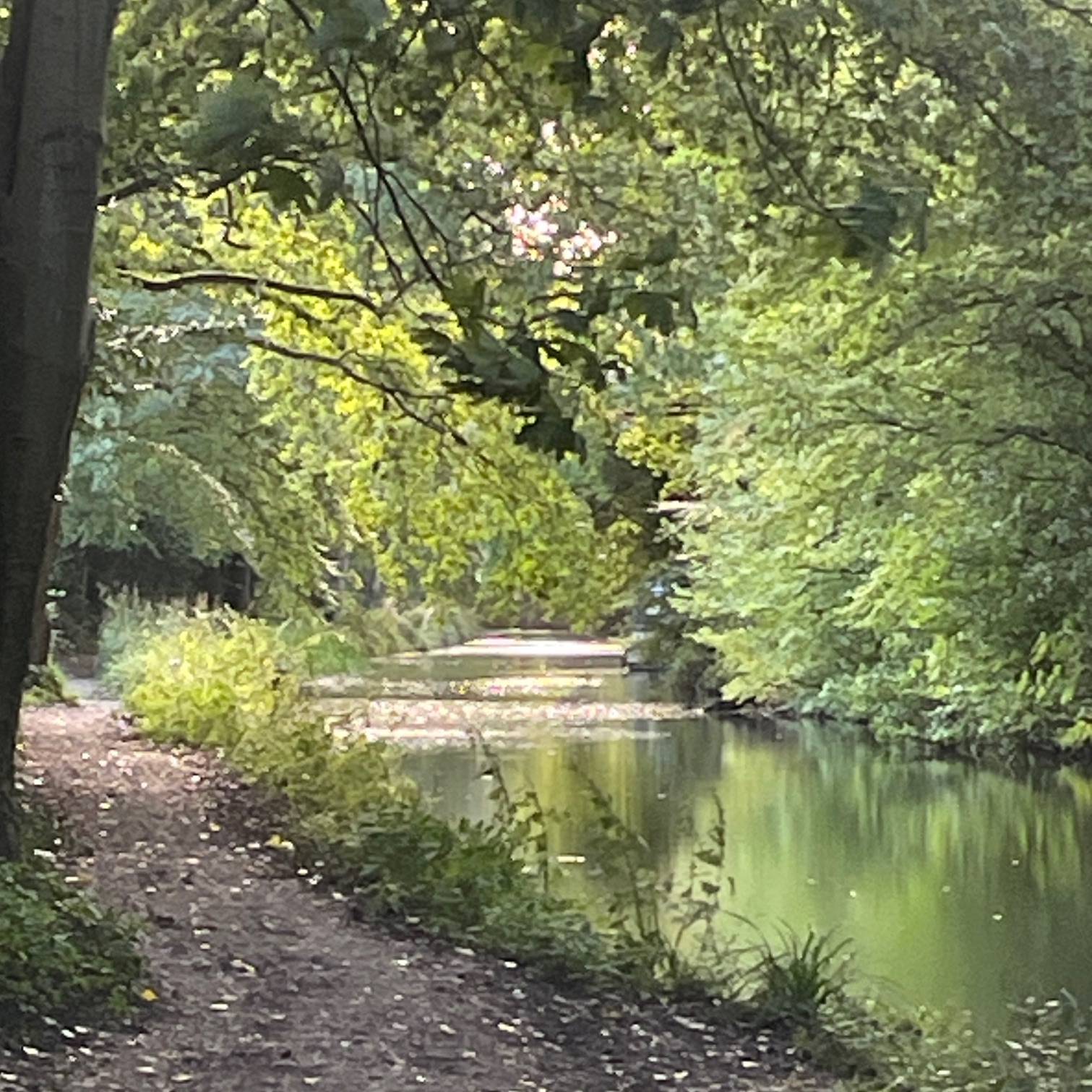 Richard Stiles Counselling & Coaching